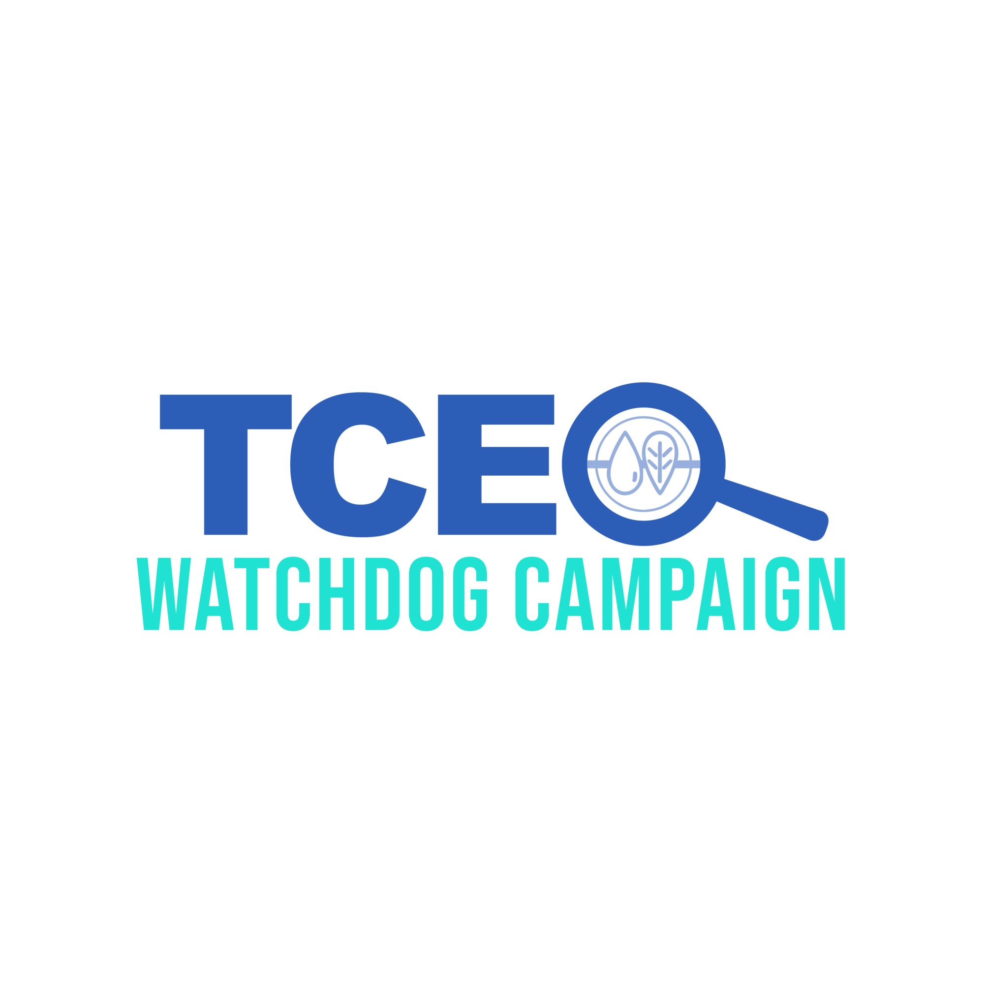 TCEQ 2025: A Year-in-Review of the 'Reluctant Regulator' - Public Citizen